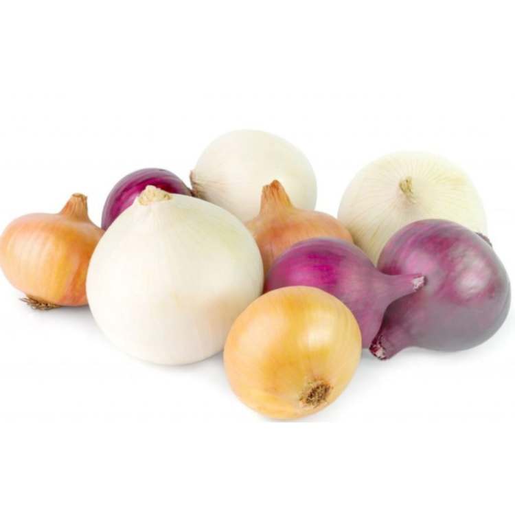 Red & white onion – Fresco Europe